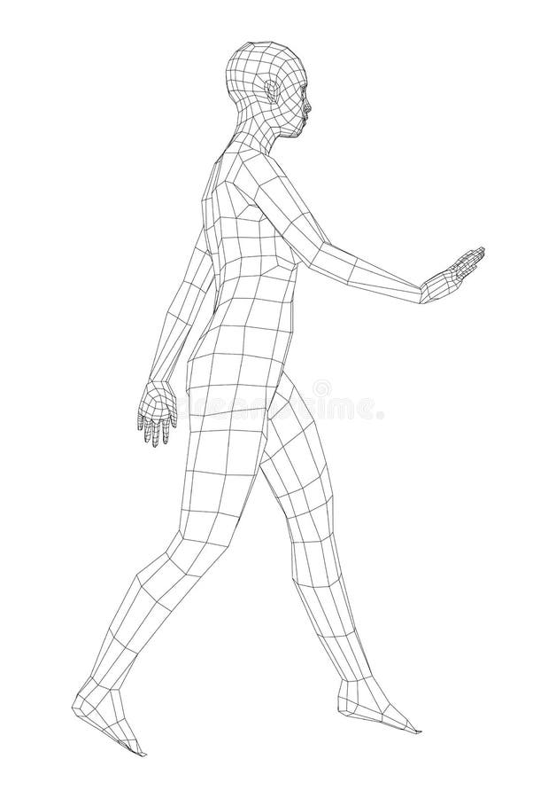 Wireframe Walking Woman. Vector Stock Vector - Illustration of sketch ...