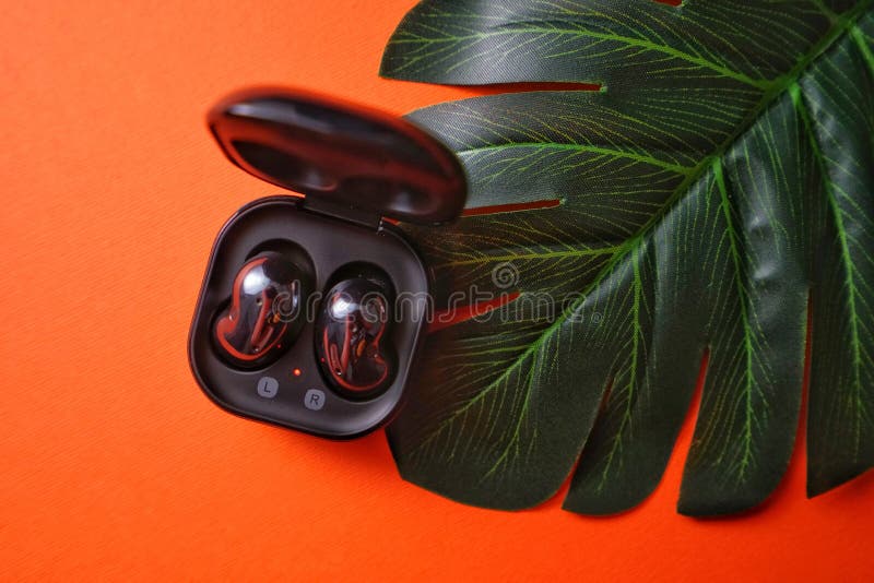 Wireless Earbuds Inside the Case Stock Photo - Image of case, glasses ...