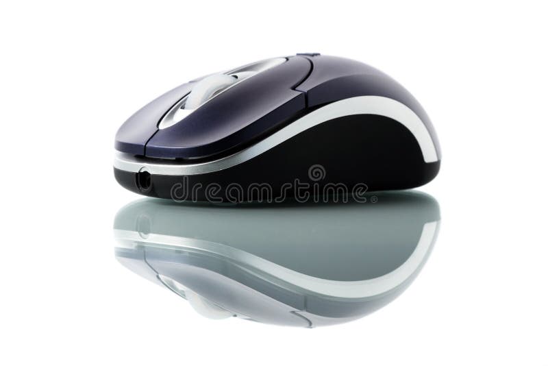 Mouse in a Mirror stock image. Image of rodent, tiny - 24353307