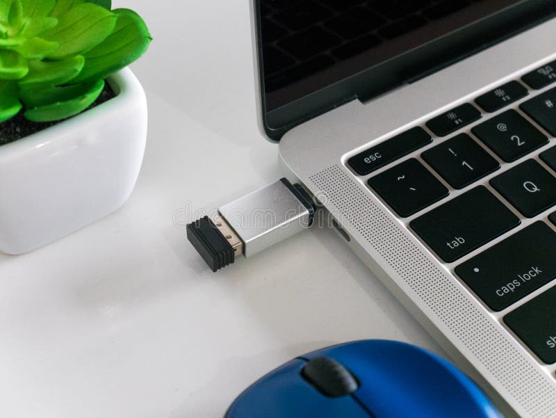 Wireless Mouse Nano Receiver with a USB Type-C Adapter Converter Stock ...