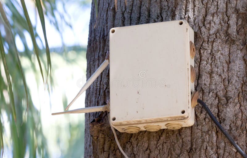 Wireless Router Hanging in a Tree Stock Image - Image of wireless ...