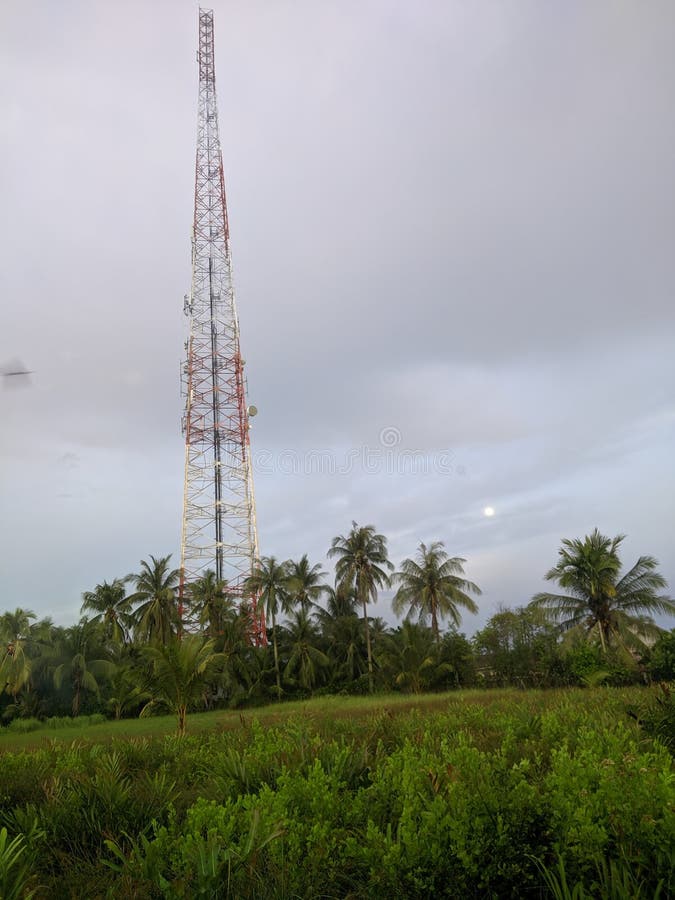 Signal towers stock photo. Image of signal, giant, towers - 262974324