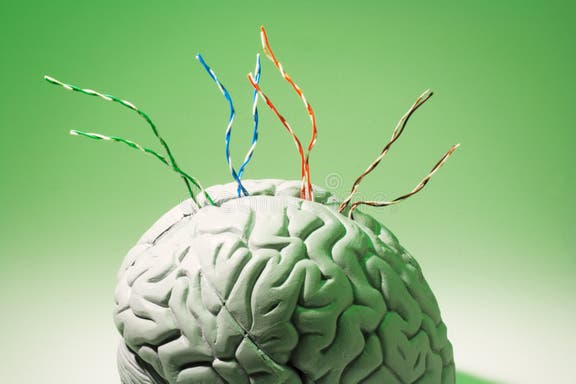 368 Brain Wires Stock Photos - Free & Royalty-Free Stock Photos from ...
