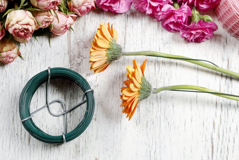 Wiring and taping gerberas stock photo. Image of compose - 172281074