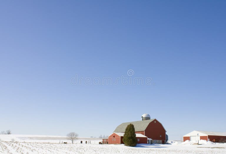 Wisconsin Dairy Farm in the Winter Stock Photo - Image of barn, farm ...