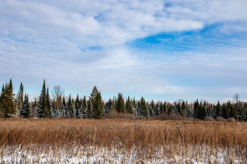Wisconsin Farm Field and Forest with a Light Dusting of Snow in ...