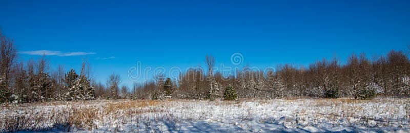 Wisconsin Forest after a February Snowfall with a Blue Sky Stock Photo ...