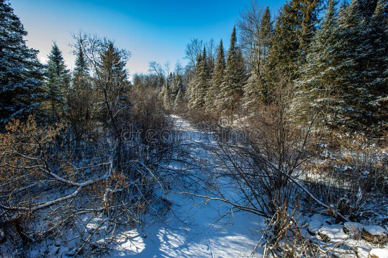 Wisconsin Forest with a Frozen Stream and a Blue Sky Stock Photo ...