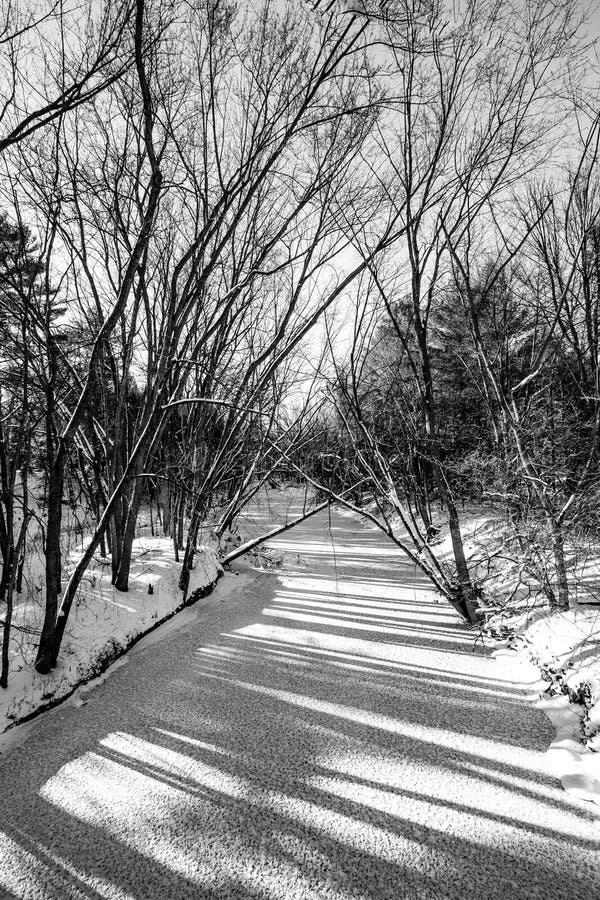 Wisconsin Frozen River Running through a Forest in January, Black and ...