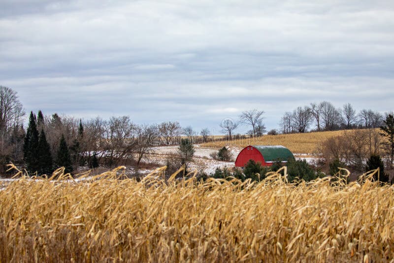 Wisconsin Red Barn with Snow in December Stock Photo - Image of field ...