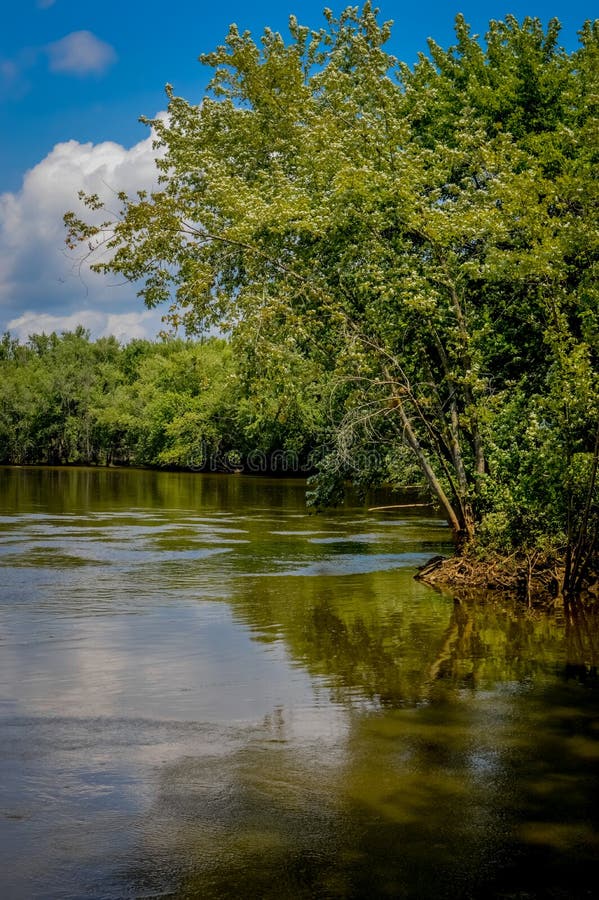 The Wisconsin River with Spring Trees and Rocky Shoreline Stock Image ...