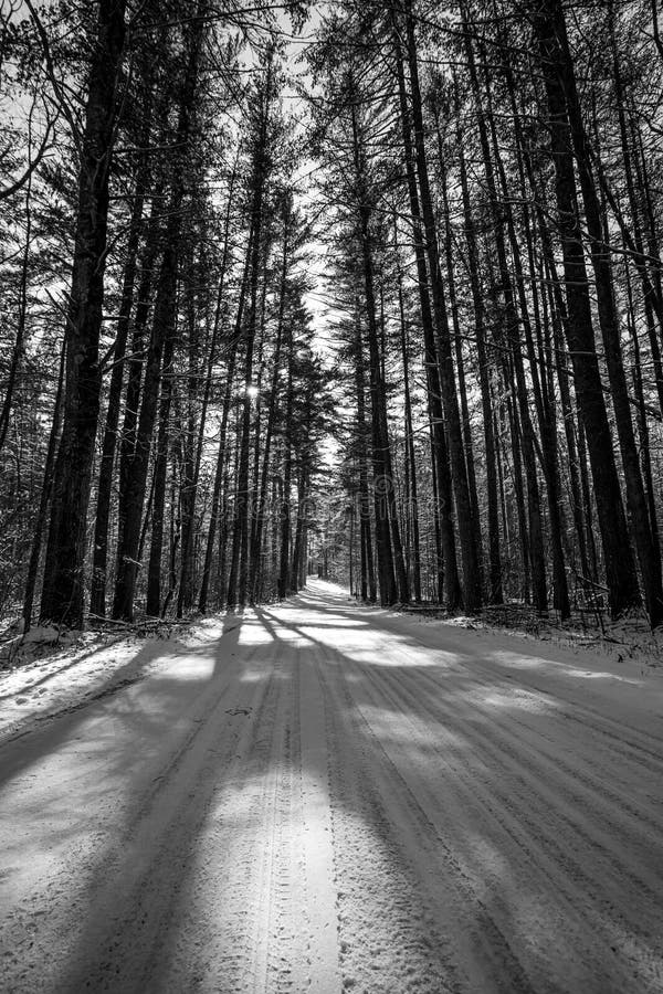 Wisconsin Road Going Forest Snow Black White Stock Photos - Free ...