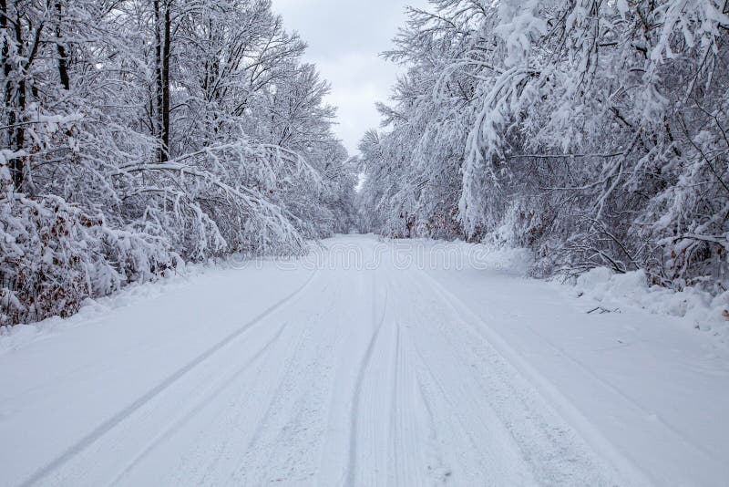 Wisconsin Snow Covered Road and Forest in December Stock Image - Image ...
