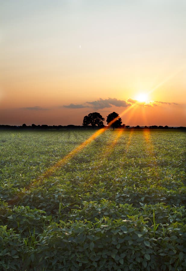 The Wisconsin River with Spring Trees and Rocky Shoreline Stock Image ...