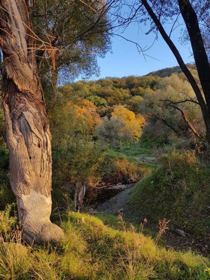 Wisdom in colours stock photo. Image of geology, sunlight - 201272820