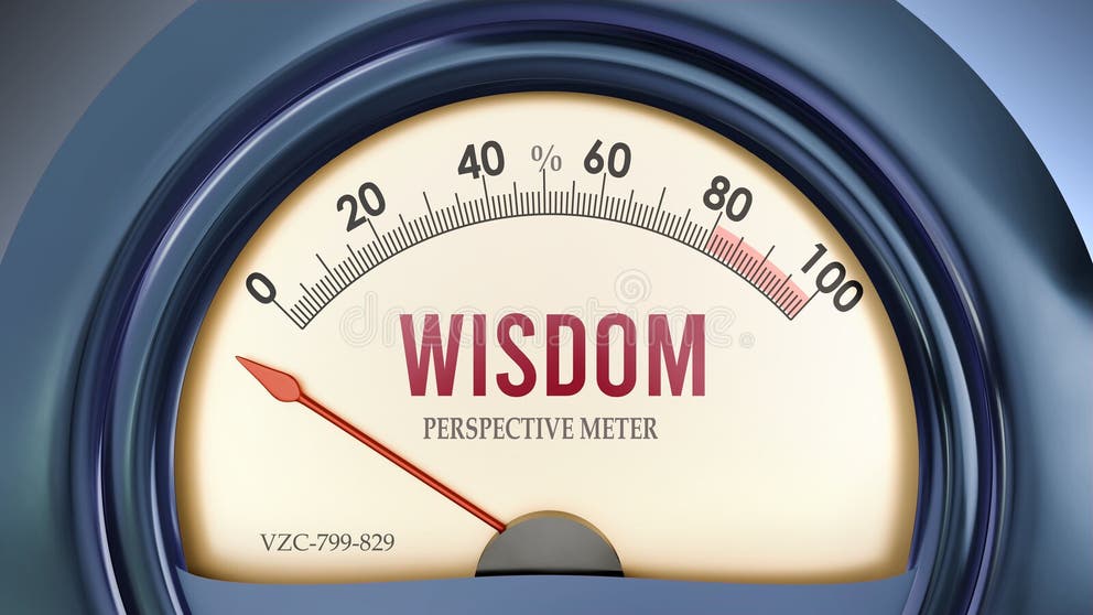 Wisdom and Perspective Meter that Hits less Than Zero, Very Low Level ...