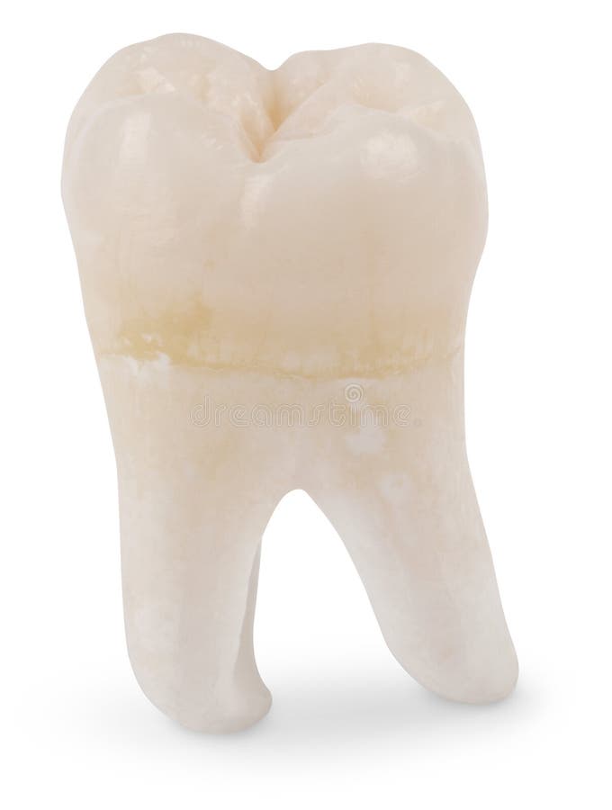 Wisdom Tooth stock image. Image of hygiene, background - 4244507