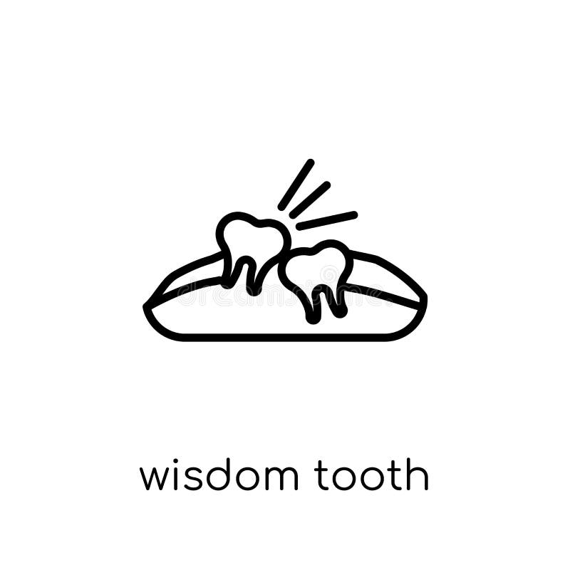 Wisdom Tooth Icon. Trendy Modern Flat Linear Vector Wisdom Tooth Stock ...