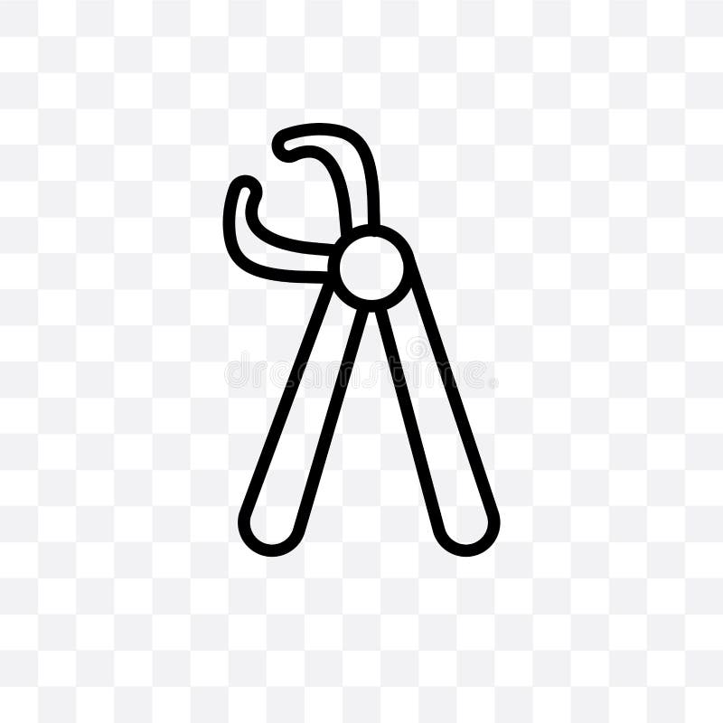 Wisdom Tooth Vector Linear Icon Isolated on Transparent Background ...