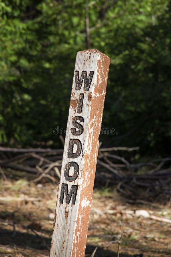 Wisdom stock photo. Image of wooden, wisdom, inspiration - 277582010