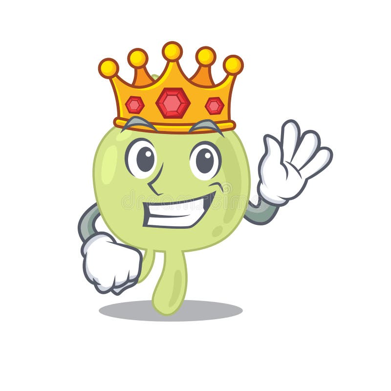 A Wise King of Staphylococcus Aureus Mascot Design Style Stock Vector ...