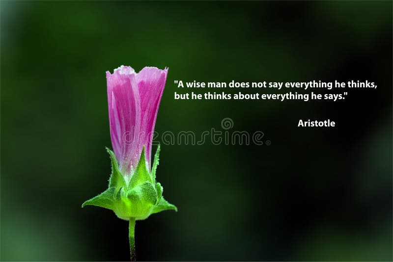 A Wise Man Does Not Say Everything he Thinks, but he Thinks about ...