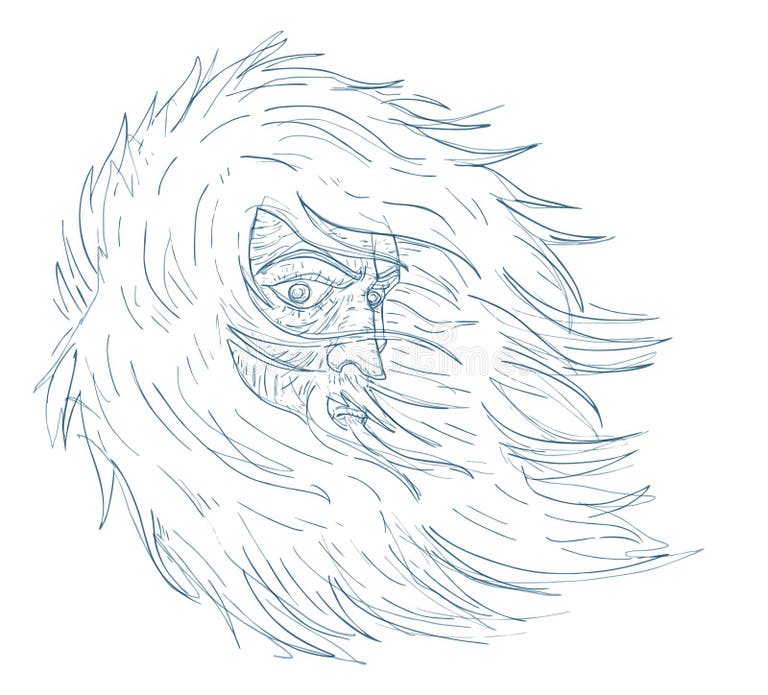 Wise man draw stock vector. Illustration of bald, vector - 269369341