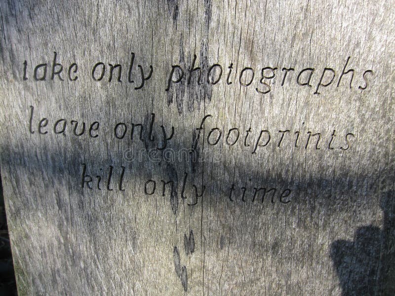 Wise Words stock image. Image of tree, words, message - 111588859