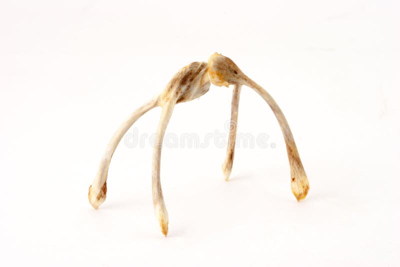 Heart stock vector. Illustration of glamour, black, celebration - 5107751