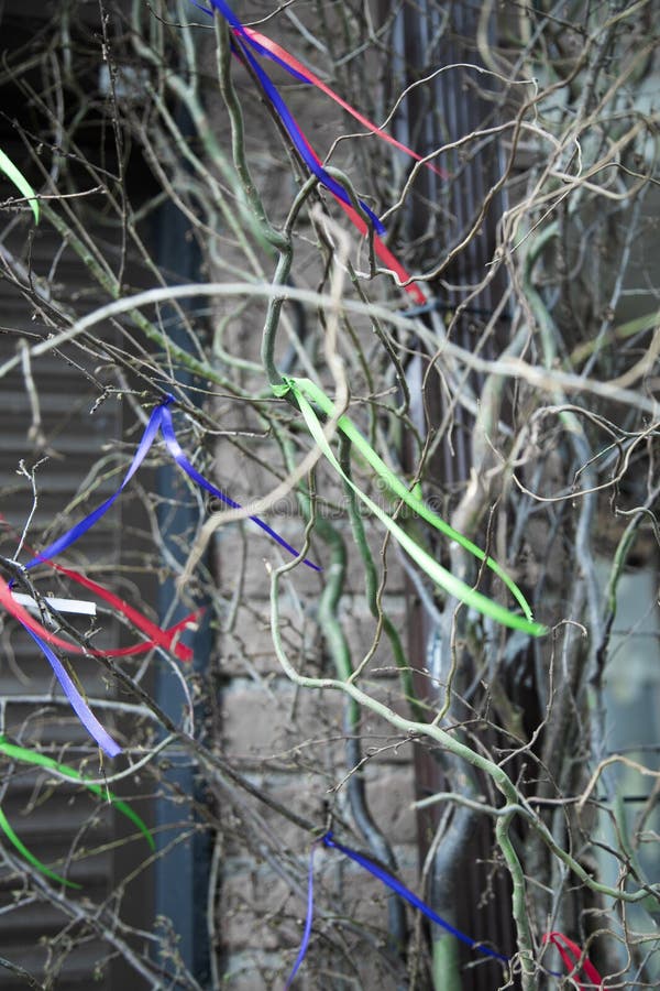 Wish Tree with red ribbons stock image. Image of tree - 30839091