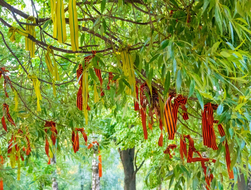Wish Tree with Commemorative War Ribbons Stock Image - Image of hanging ...