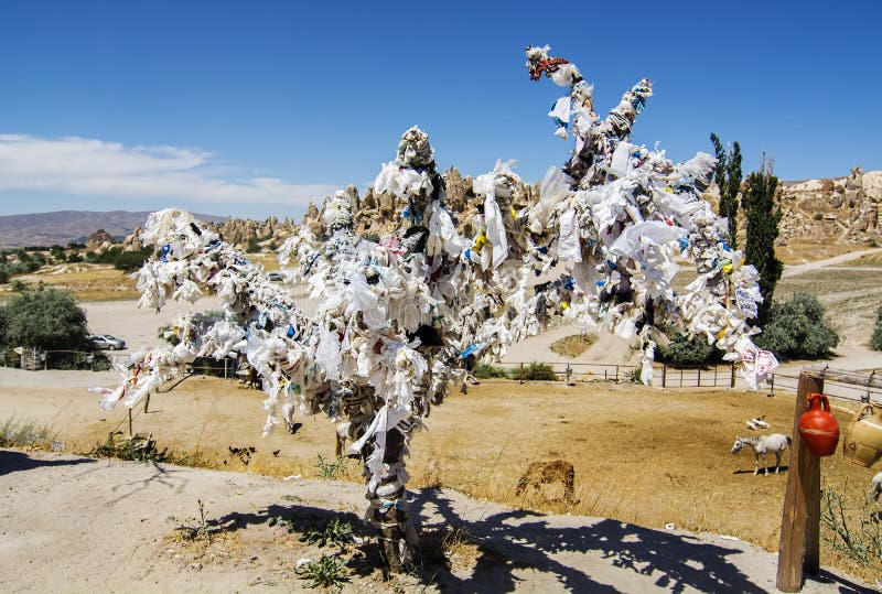 Wish Tree with red ribbons stock image. Image of tree - 30839091