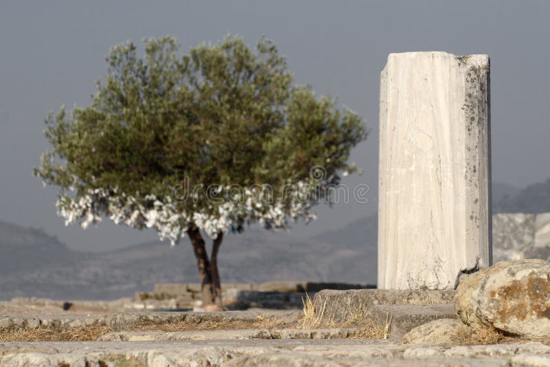 Wish Tree with Messages in Pergamon Editorial Photo - Image of trees ...