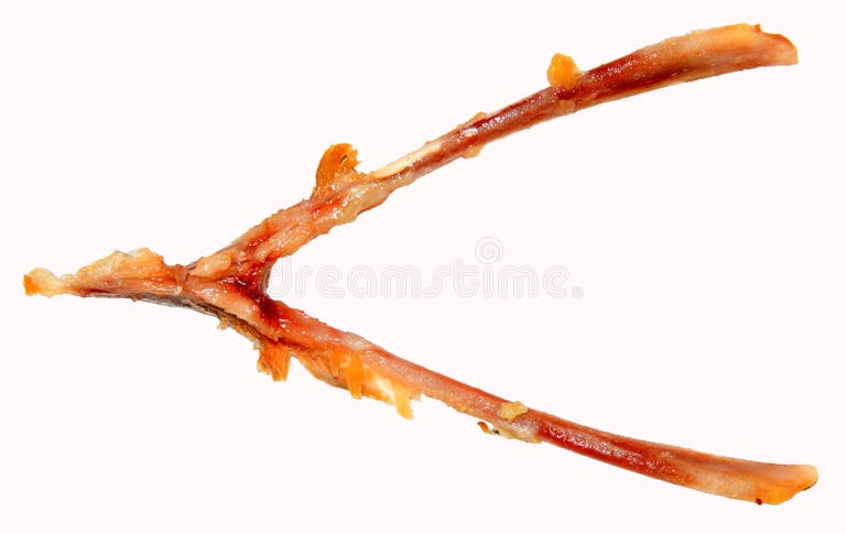 Wishbone stock photo. Image of tradition, autumn, symbol - 17402418