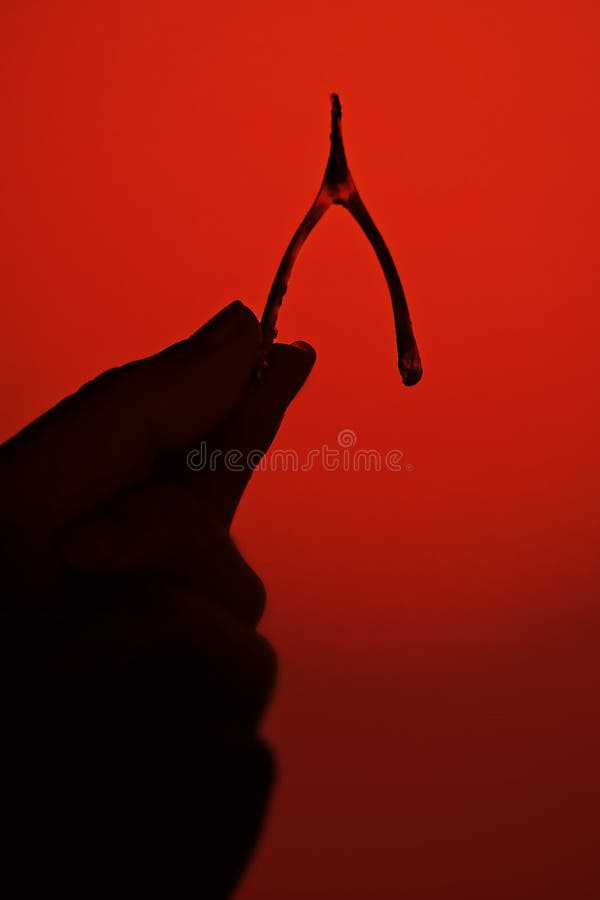 Wishbone stock photo. Image of tradition, autumn, symbol - 17402418