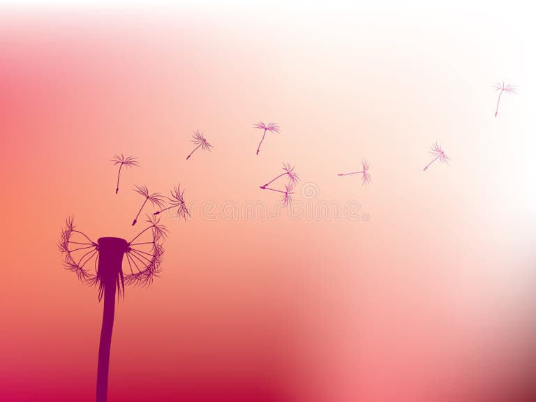 Dandelion Wishes Stock Illustrations – 2,419 Dandelion Wishes Stock ...
