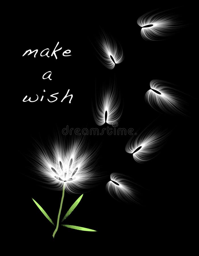 Wishing Flower stock illustration. Illustration of wind - 93688340
