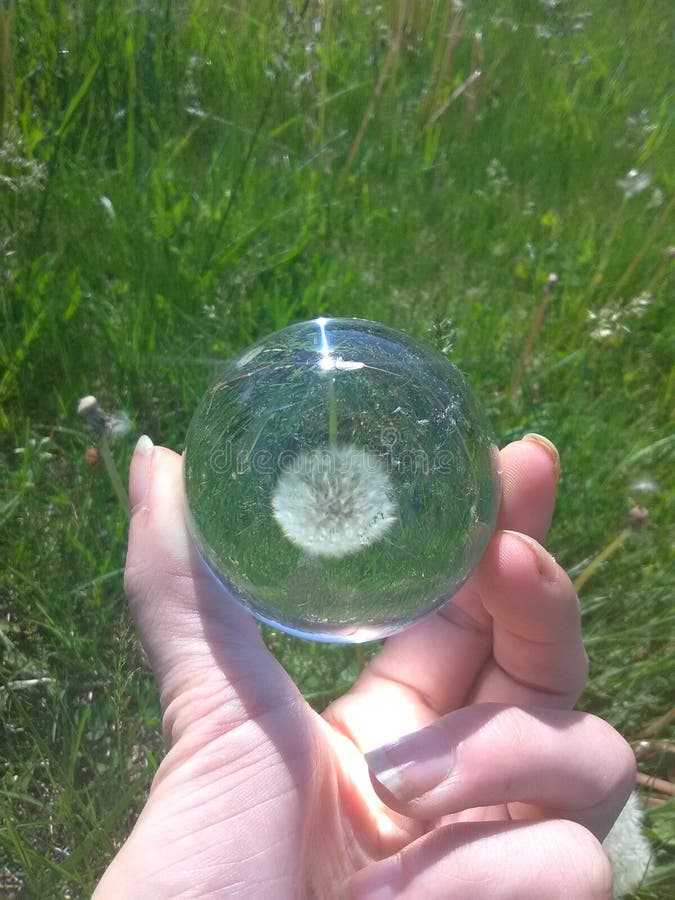 The Wishing Sphere stock photo. Image of grass, sphere - 206964690