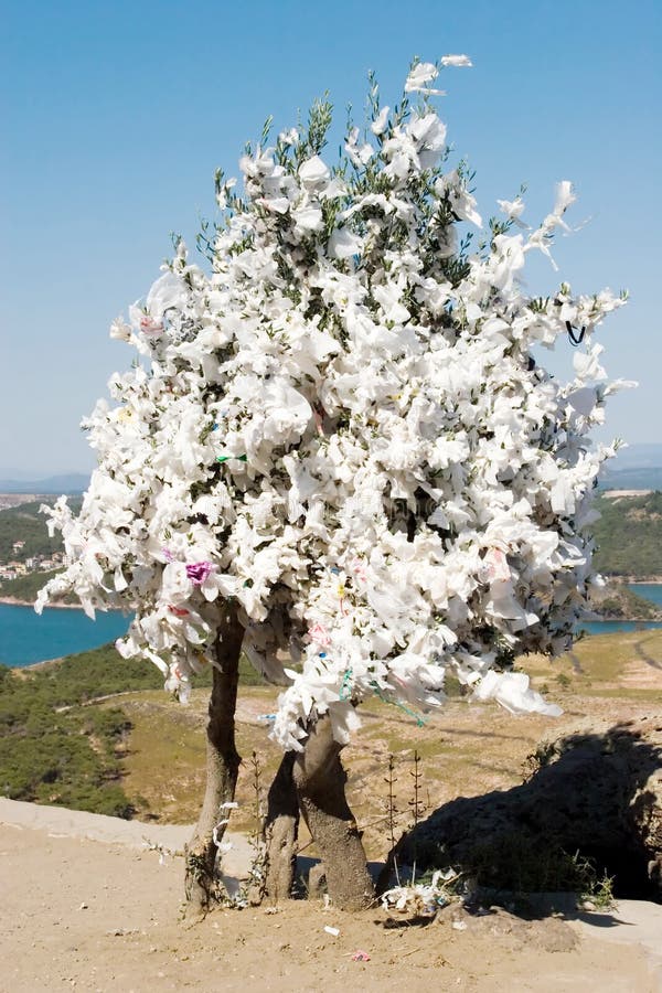 Wishing tree stock photo. Image of wishing, tree, traditional - 14426818
