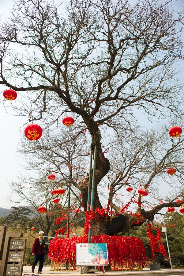 Wishing Tree editorial photography. Image of aspirations - 52735737