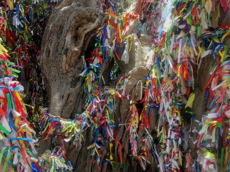 Wishing tree stock image. Image of superstition, kameriye - 232892491