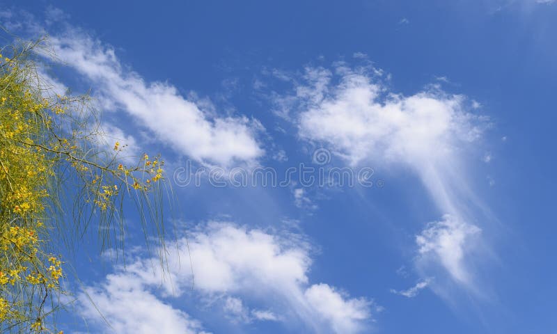 Wispy Cloud Tails in California Sky Stock Photo - Image of blue ...