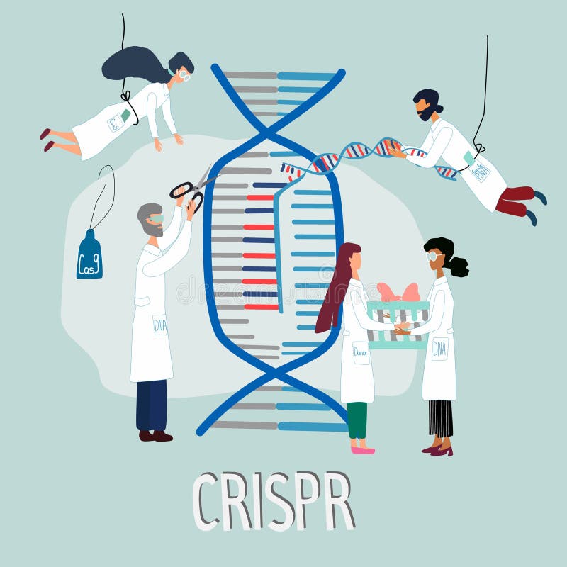 Wissenschaftler Haben Gezeigt, Wie CRISPR CAS9 Funktioniert Gene ... Wissenschaftler Haben Gezeigt, Wie CRISPR CAS9 Funktioniert Gene ...