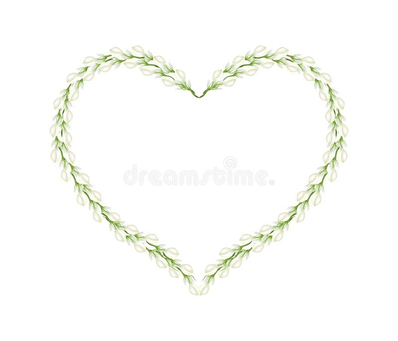 Wit Jasmine Flowers in Het Kader Van De Hartvorm Vector Illustratie ...