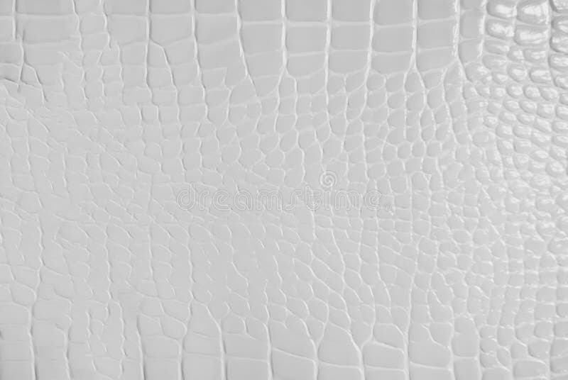 Wit Met Grijs Leer Gebruik Voor Achtergronden Stock Afbeelding - Image ...