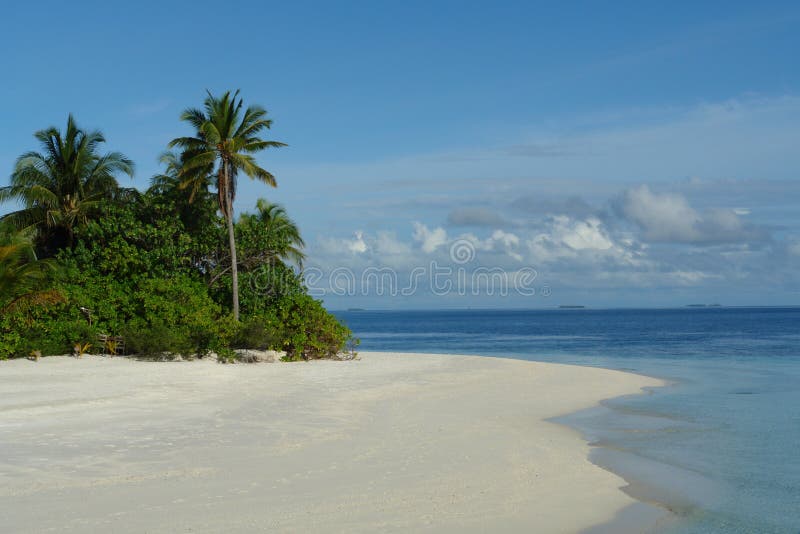 Wit strand stock afbeelding. Image of droom, boom, welzijn - 1724719