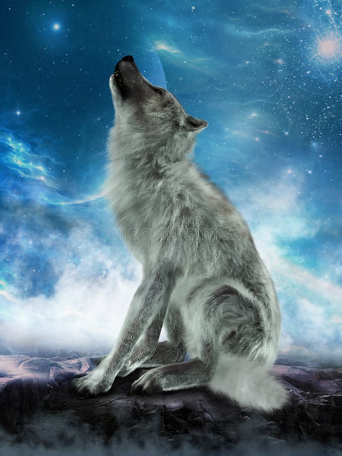 Wit Wolf Howling Moon Illustration Stock Foto - Image of wild ...