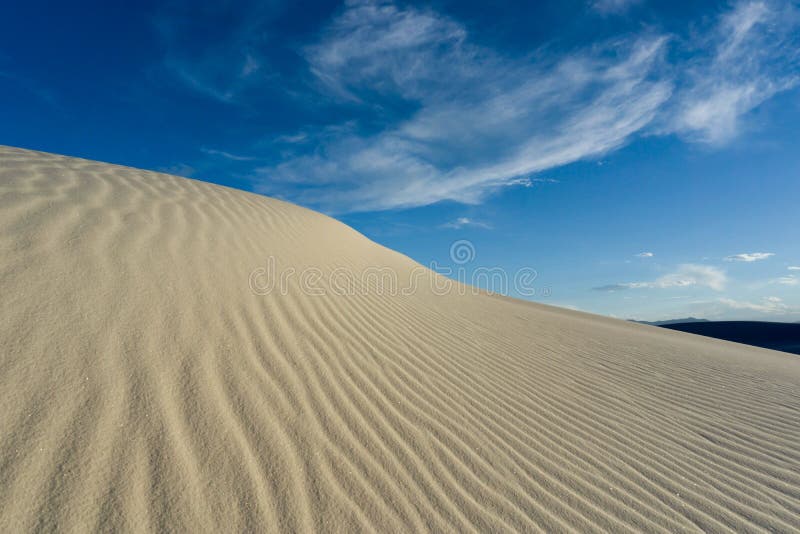 Wit Zand stock foto. Image of genaturaliseerd, yuca, raket - 76843352