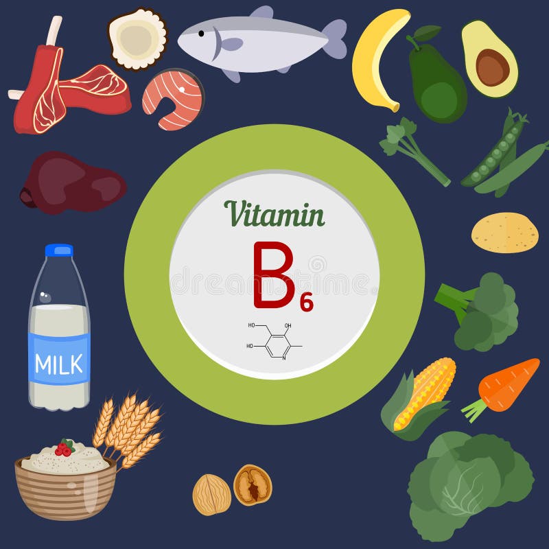 Witamina B6 Lub Pyridoxine Infographic Ilustracja Wektor - Ilustracja ...