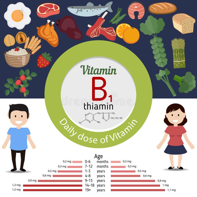 Witamina B1 Lub Thiamin Infographic Ilustracja Wektor - Ilustracja ...